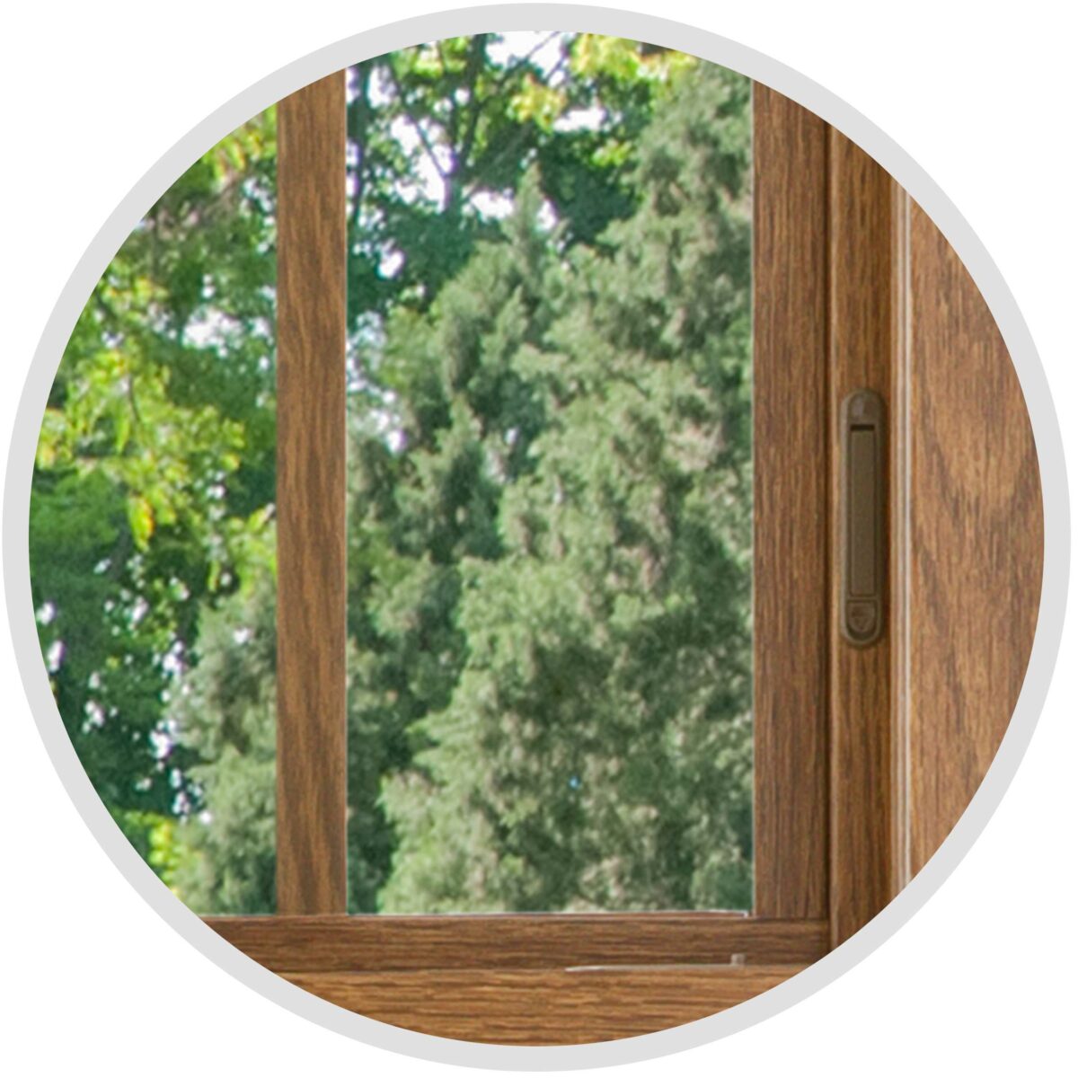 Executive Vinyl Windows - Southern Windows and Doors